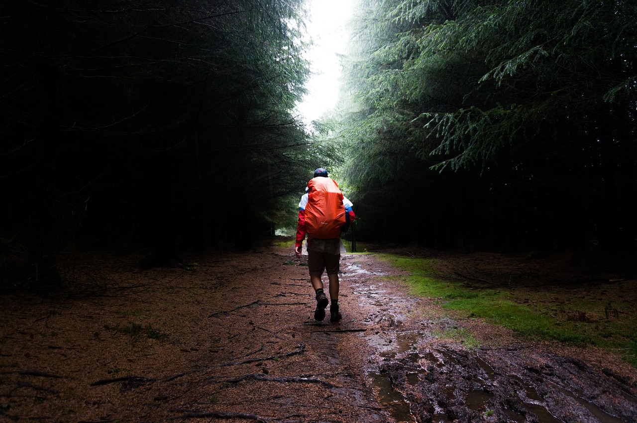 5 Tips On Rain Hiking Gear - Stay Dry And Warm! - Jake's Nature Blog